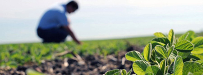 EEMAC – Facultad de Agronomía