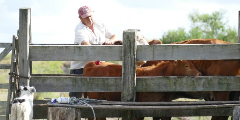 EEMAC – Facultad de Agronomía