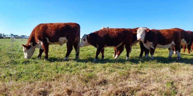 EEMAC – Facultad de Agronomía