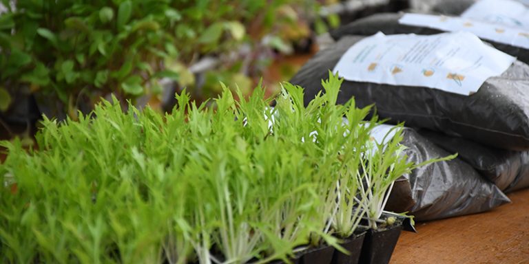 Fagro se suma al Día Nacional de la Agroecología 2025 – Facultad de ...